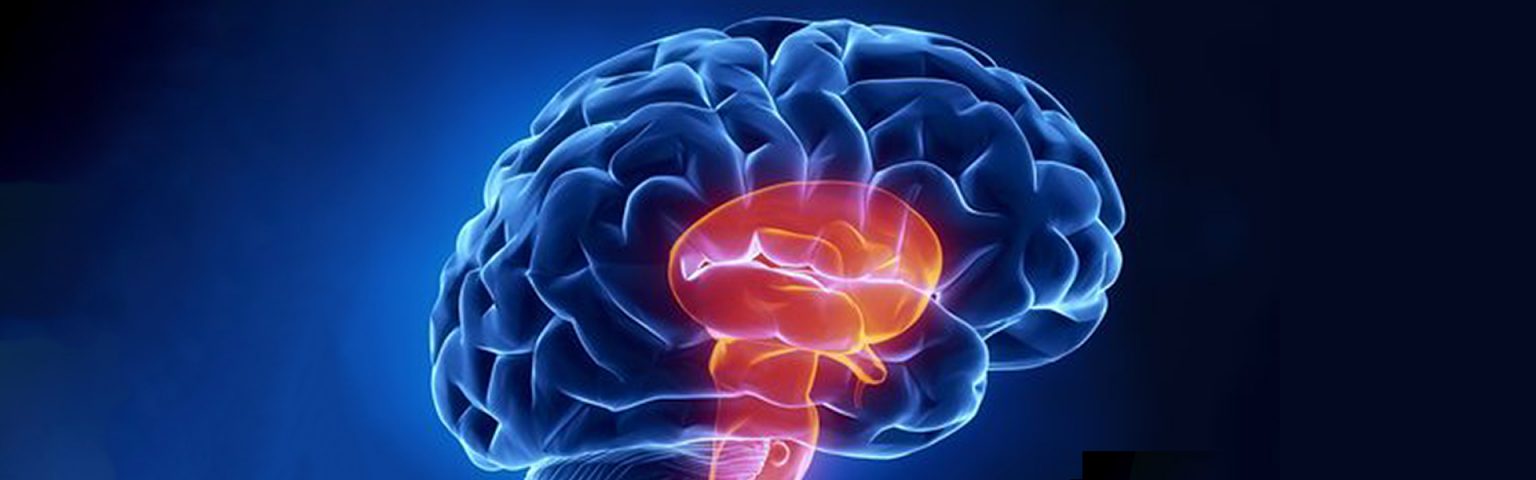 An overview about types of neurosurgery | Healing Consulting Turkey