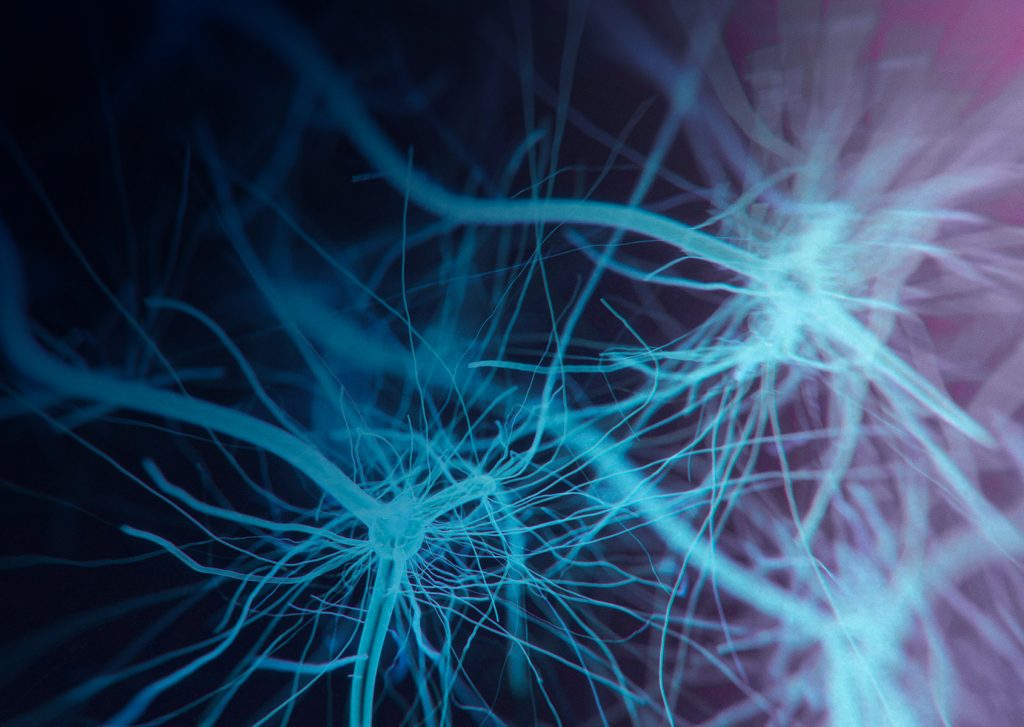 An overview about types of neurosurgery | Healing Consulting Turkey